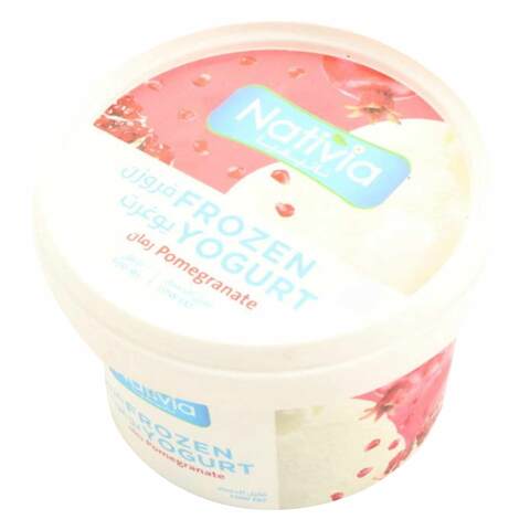 Nativia Pomegranate Frozen Yoghurt Ice Cream 500ml price in Kuwait ...
