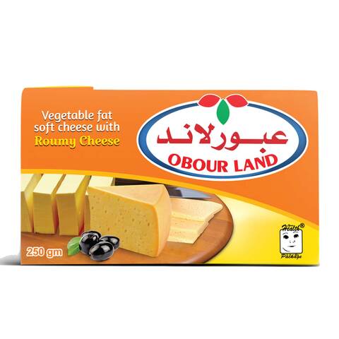 Buy Obour Land Feta Cheese Roumy Cheese - 250 Gram Online - Shop Fresh ...