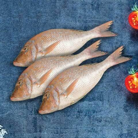 Omani Sherri Fish price in Saudi Arabia | Carrefour Saudi Arabia ...