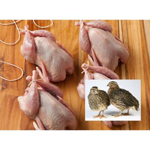 Fresh Super Jumbo Quail - 2 Pieces Online | Carrefour Egypt