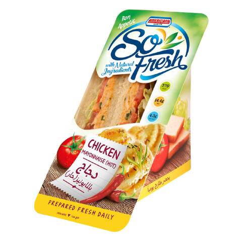Americana So Fresh Chicken Mayonnaise Hot Sandwich 166g price in Kuwait ...
