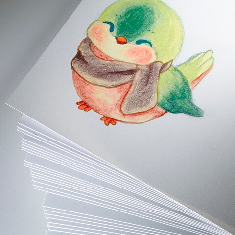 Specialist Crafts Heavyweight Cartridge Paper 220gsm A1 Sheet price in ...