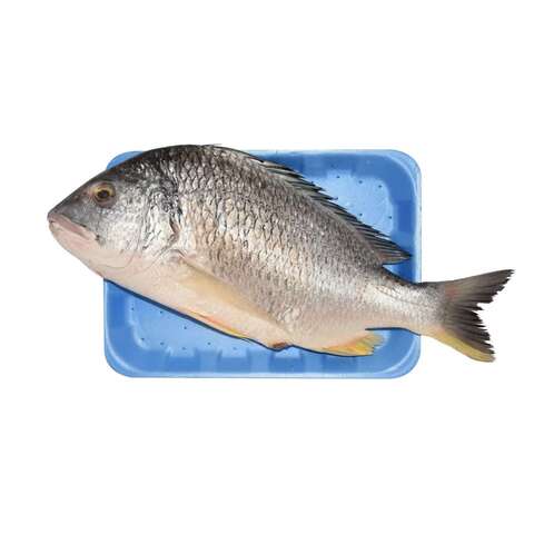 SHOOM FISH KUWAIT KG price in Kuwait | Carrefour Kuwait | supermarket ...