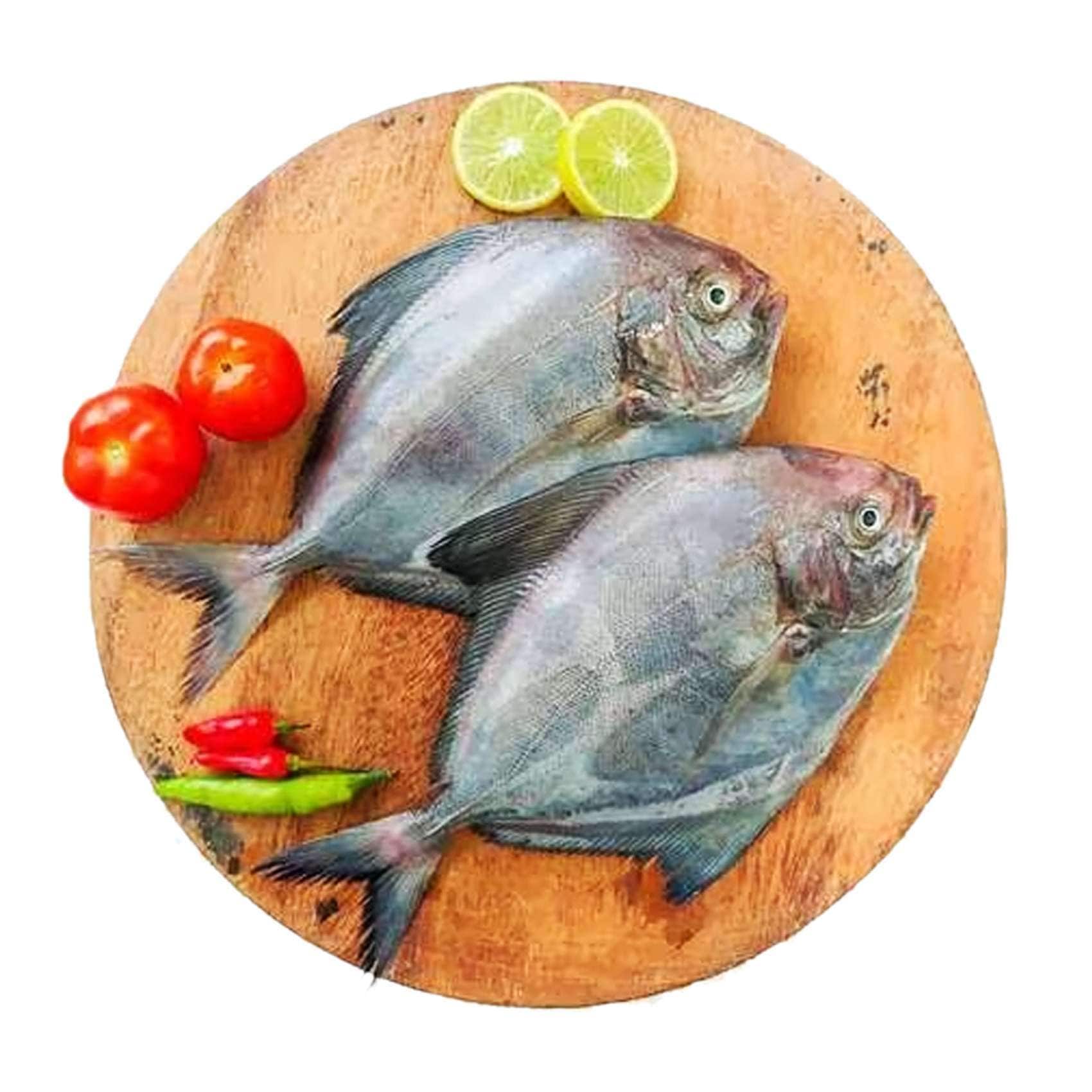 Black Pomfret Fish