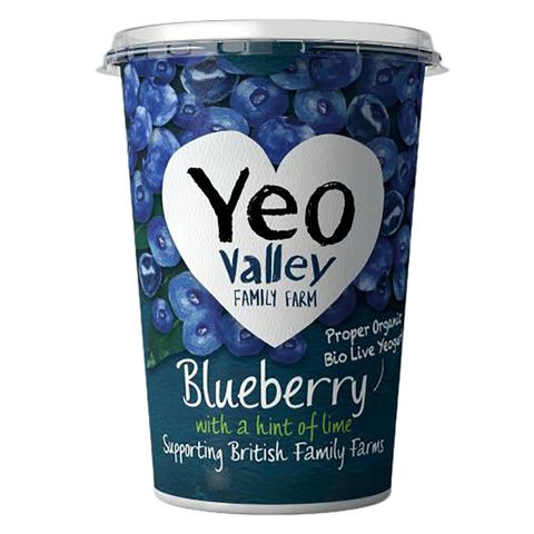 Yeo Valley Blueberry And Lime Yogurt 450g price in UAE | Carrefour UAE ...
