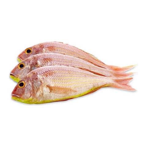 Sultan Ibrahim Fish Small price in Saudi Arabia | Carrefour Saudi ...
