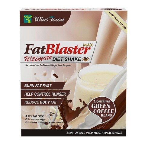 Wins Town Fat Blaster Choco Flavour Milk Shake 250g price in UAE ...