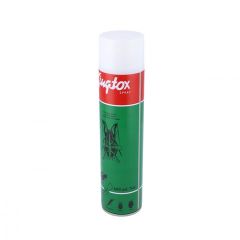 Buy Kingtox Spray Perfumed Insect Killer 600 ml Online | Carrefour Pakistan