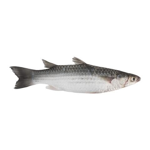 Buy Big Mullet Fish Online - Shop Fresh Food on Carrefour Egypt