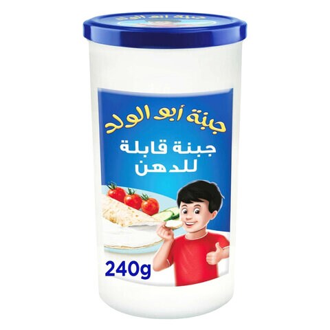 Regal Picon Cheese Spread 240g price in Kuwait | Carrefour Kuwait ...