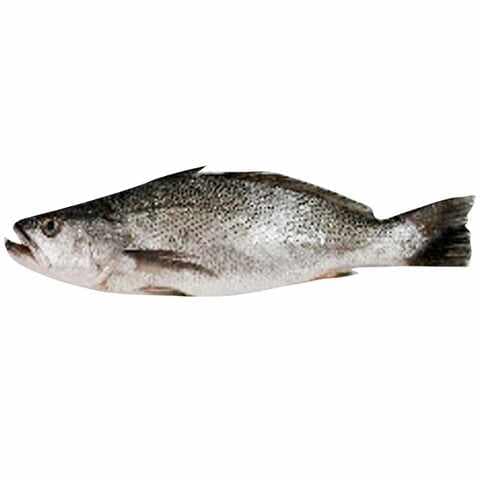 Fresh Cora Fish price in UAE | Carrefour UAE | supermarket kanbkam