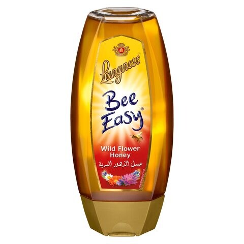 Langnese Bee Easy Wild Flower Honey 500g price in UAE | Carrefour UAE ...