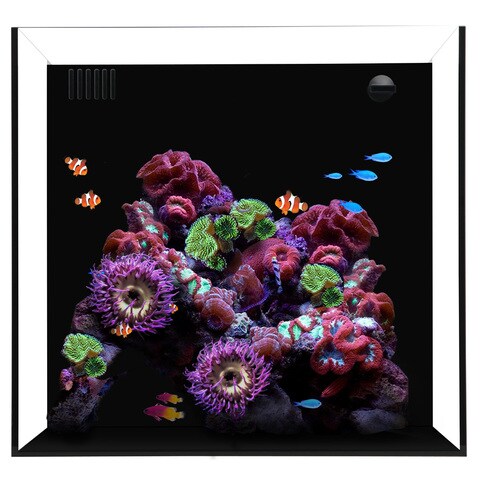 Water Box Cube 20 Glass Only L 60cm X W 45cm X H 40cm-Black price in ...