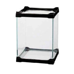ISTA MULTI AQUARIUM PET CASE 16X16X21CM price in UAE | Carrefour UAE ...