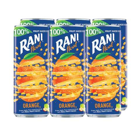 Rani Float Orange Juice 240ml Pack of 6 price in Saudi Arabia ...