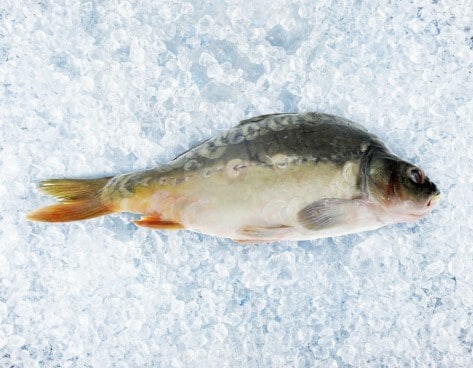 MABROOKA EGYPTIAN A price in Kuwait | Carrefour Kuwait | supermarket ...