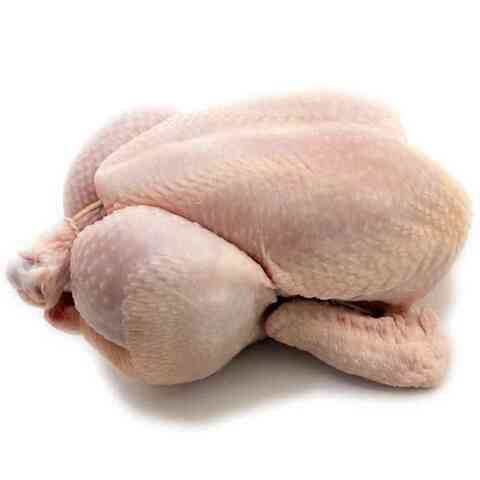 Fresh Whole Chicken 1.2Kg (UAE) price in UAE | Carrefour UAE ...
