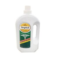 Buy Septol Antiseptic Dark Brown 2L Online - Shop Cleaning & Household ...