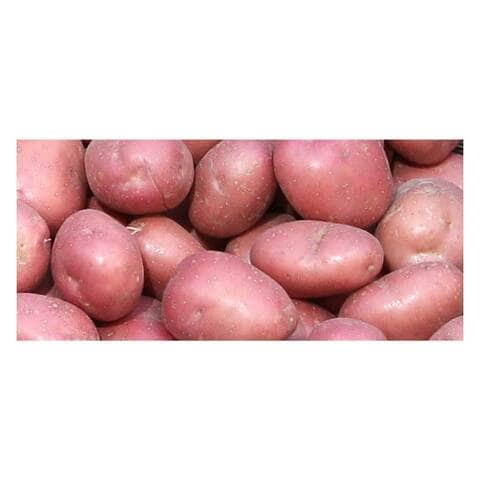 Buy Alika Red Potato Online - Carrefour Kenya