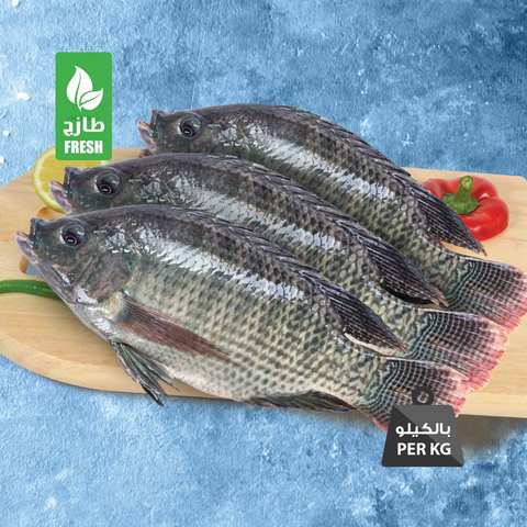 Buy Saudi Marine Tilapia Fish 200 - 300g Online - Shop Fresh Food on ...