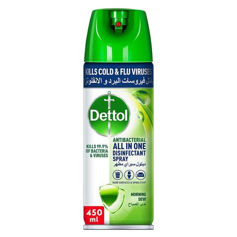 Buy Dettol Disinfectant Spray, Morning Dew - 450 ml Online - Shop ...