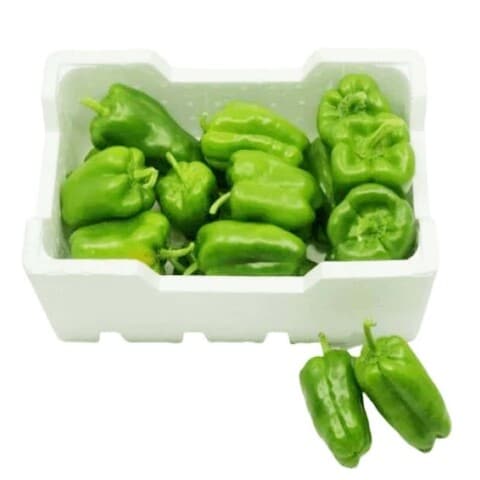 CAPSICUM GREEN FOAM SAUDI BOX price in Kuwait | Carrefour Kuwait ...