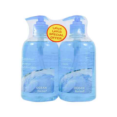 Carrefour Ocean Hand Wash 500ml x2 price in UAE | Carrefour UAE ...