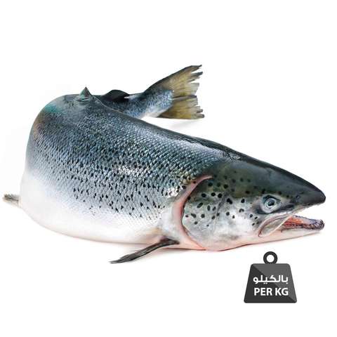 Fresh Salmon Norway price in Saudi Arabia | Carrefour Saudi Arabia ...