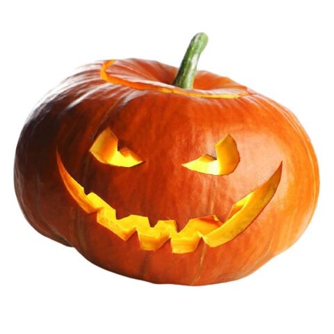 Jack-O-Lantern Pumpkin Carry Pack price in UAE | Carrefour UAE ...