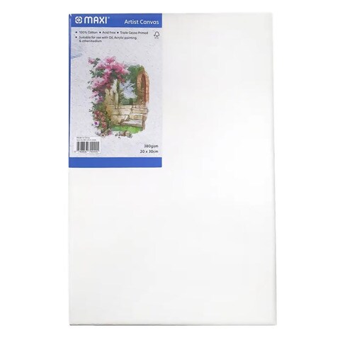Maxi Artist Canvas Board White 380GSM 20x30cm price in UAE | Carrefour ...