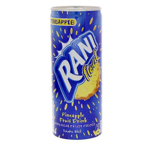 Rani Float Pineapple Fruit Juice 240ml price in Kuwait | Carrefour ...