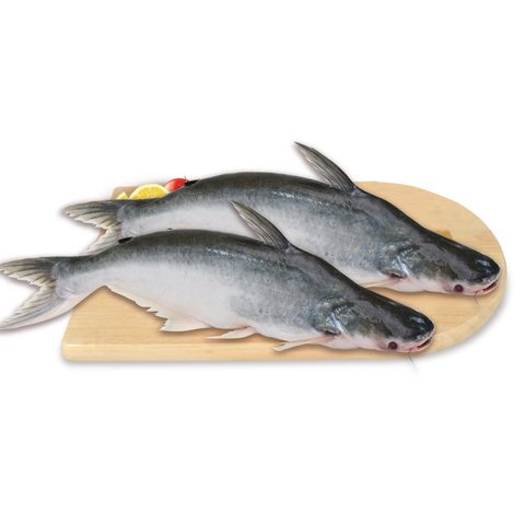 Cat Fish price in Saudi Arabia | Carrefour Saudi Arabia | supermarket ...