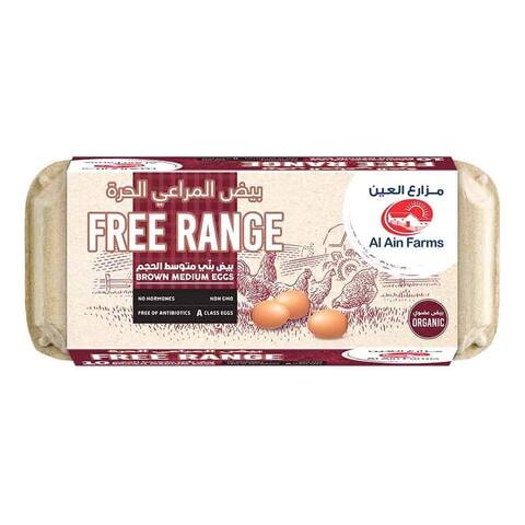 Al Ain Farms Fresh Free Range Medium Brown Eggs 10 PCS price in UAE ...
