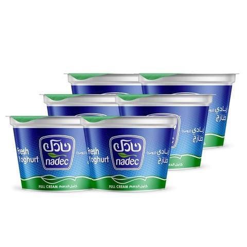 Nadec Fresh Yoghurt Full Cream 170g 6 price in Saudi Arabia | Carrefour ...