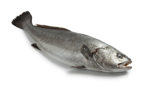 Lott Fish - Small price in Egypt | Carrefour Egypt | supermarket kanbkam