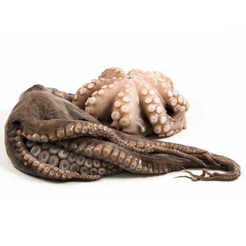 Fresh Big Octopus price in UAE | Carrefour UAE | supermarket kanbkam