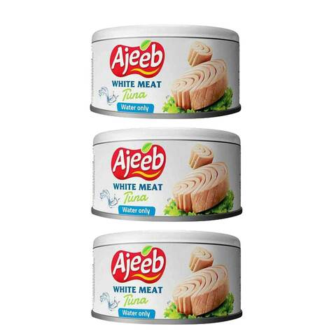 Ajeeb White Meat In Sunflower Oil 170g Pack of 3 price in UAE ...