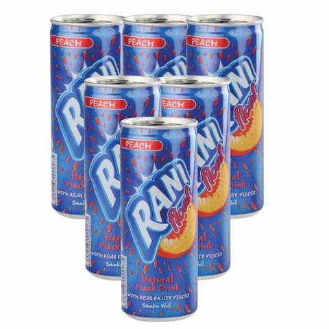 Rani Float Peach Juice 240ml Pack of 6 price in UAE | Carrefour UAE ...