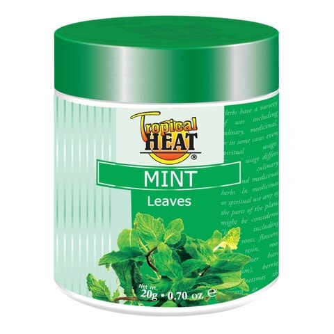 Buy Tropical Heat Spices Mint Leaves 20G Online - Carrefour Kenya