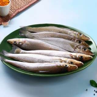 LADY FISH KASSOUR KUWAIT KG price in Kuwait | Carrefour Kuwait ...