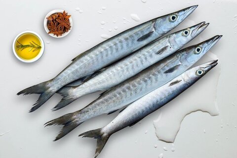 BARACUDA FISH KG price in Kuwait | Carrefour Kuwait | supermarket kanbkam