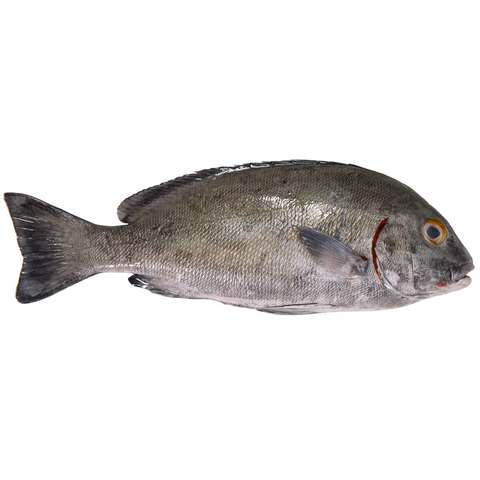 Fresh Farsh price in UAE | Carrefour UAE | supermarket kanbkam