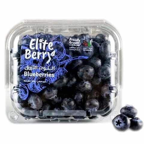 Blueberries 175g price in UAE | Carrefour UAE | supermarket kanbkam