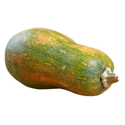 Long Large Pumpkin (Kaddoo) price in UAE | Carrefour UAE | supermarket ...