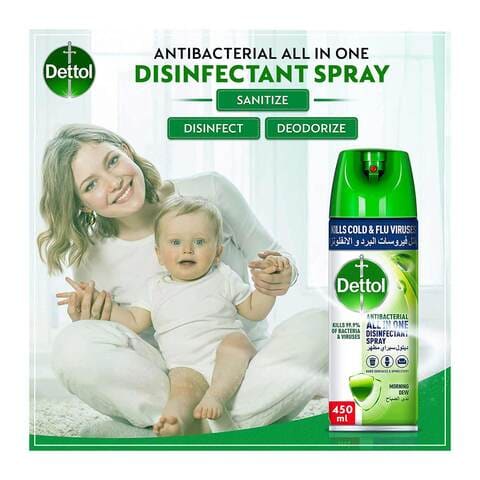 Buy Dettol Disinfectant Spray, Morning Dew - 450 ml Online - Shop ...