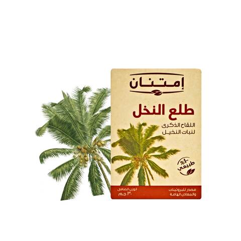 Date Palm Pollen - 30 gram price in Egypt | Carrefour Egypt ...