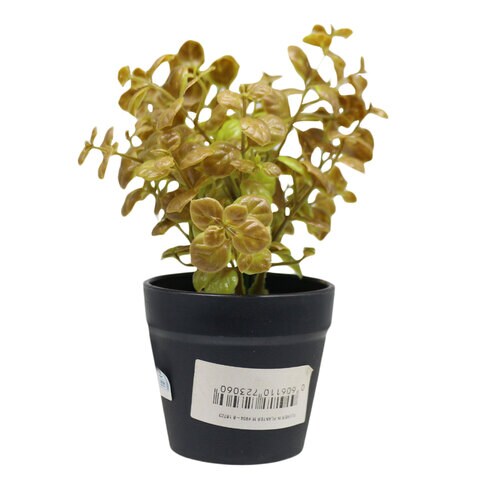 Buy Flower In Planter Medium 904/8 Online - Carrefour Kenya