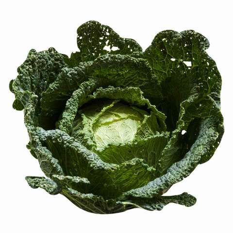 Savoy cabbage price in UAE | Carrefour UAE | supermarket kanbkam