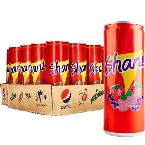 SHANI CAN 250MLX30 Online | Carrefour Kuwait