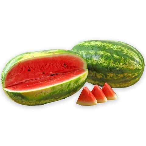 Green Watermelon Long price in UAE | Carrefour UAE | supermarket kanbkam
